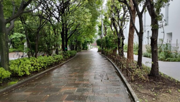 【北区】東洋大学赤羽台キャンパスに新オープンしたカフェ「ViEAT by Fete le marche」で、ボリューム満点でからだに優しい ...