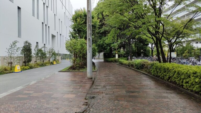 【北区】東洋大学赤羽台キャンパスに新オープンしたカフェ「ViEAT by Fete le marche」で、ボリューム満点でからだに優しい ...